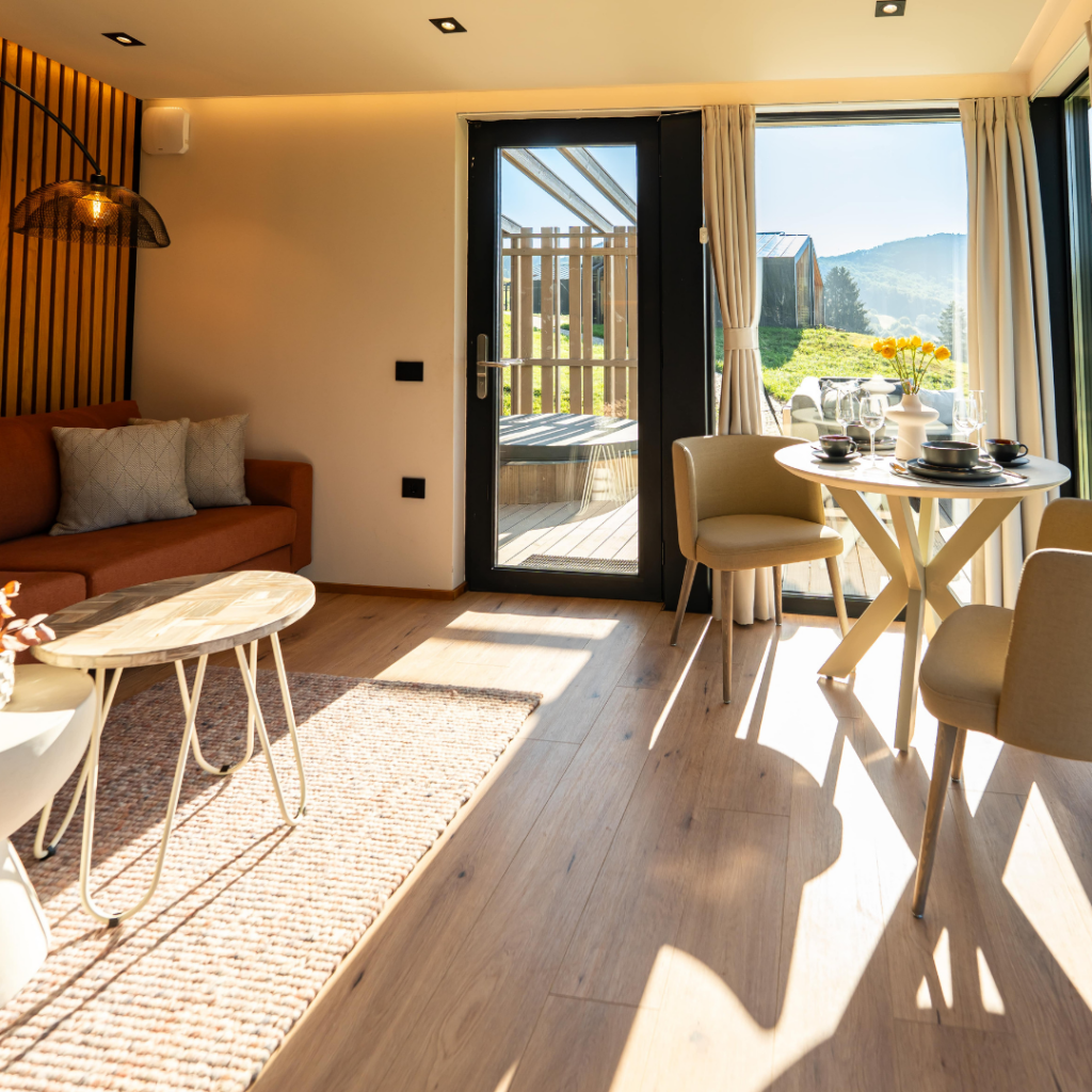 The Pulse of Growth: Why Brașov Is Romania’s Next Premium Investment ...